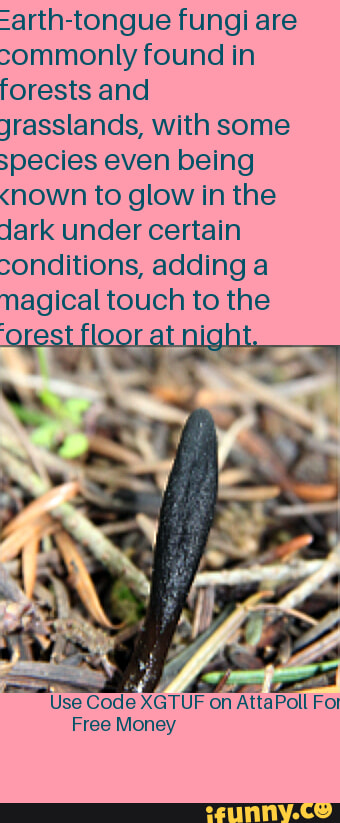 Fungi memes. Best Collection of funny Fungi pictures on iFunny