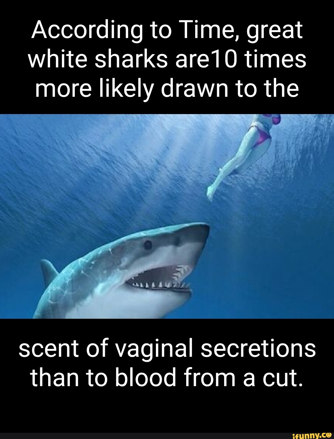 According to Time, great white sharks are10 times more likely drawn to ...