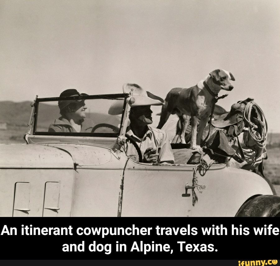 Cowpuncher Memes