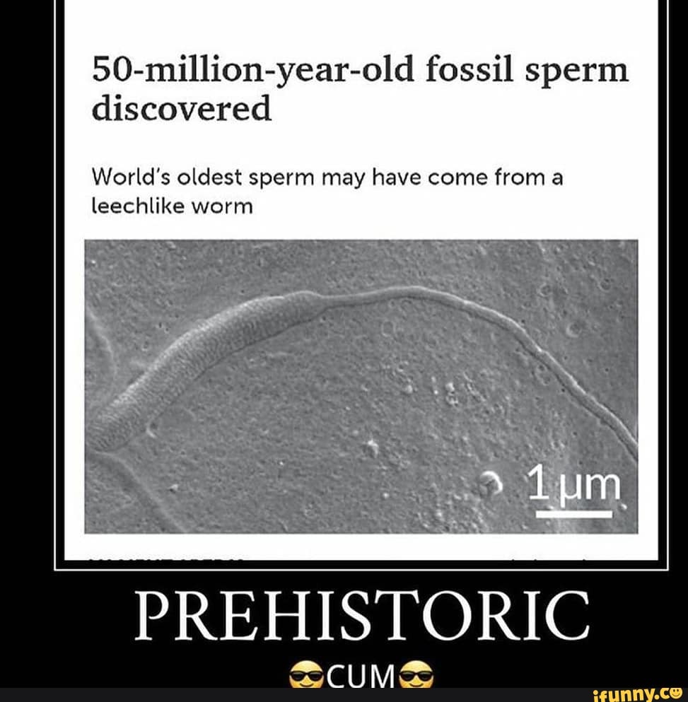 50 Million Year Old Fossil Sperm Discovered Worlds Oldest Sperm May