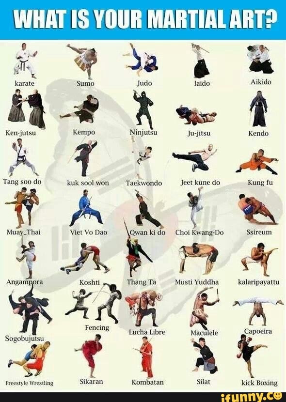 WHAT IS YOUR MARTIAL ART? karate Sumo Judo Taido Aikido Ken-jutsu Kempo ...