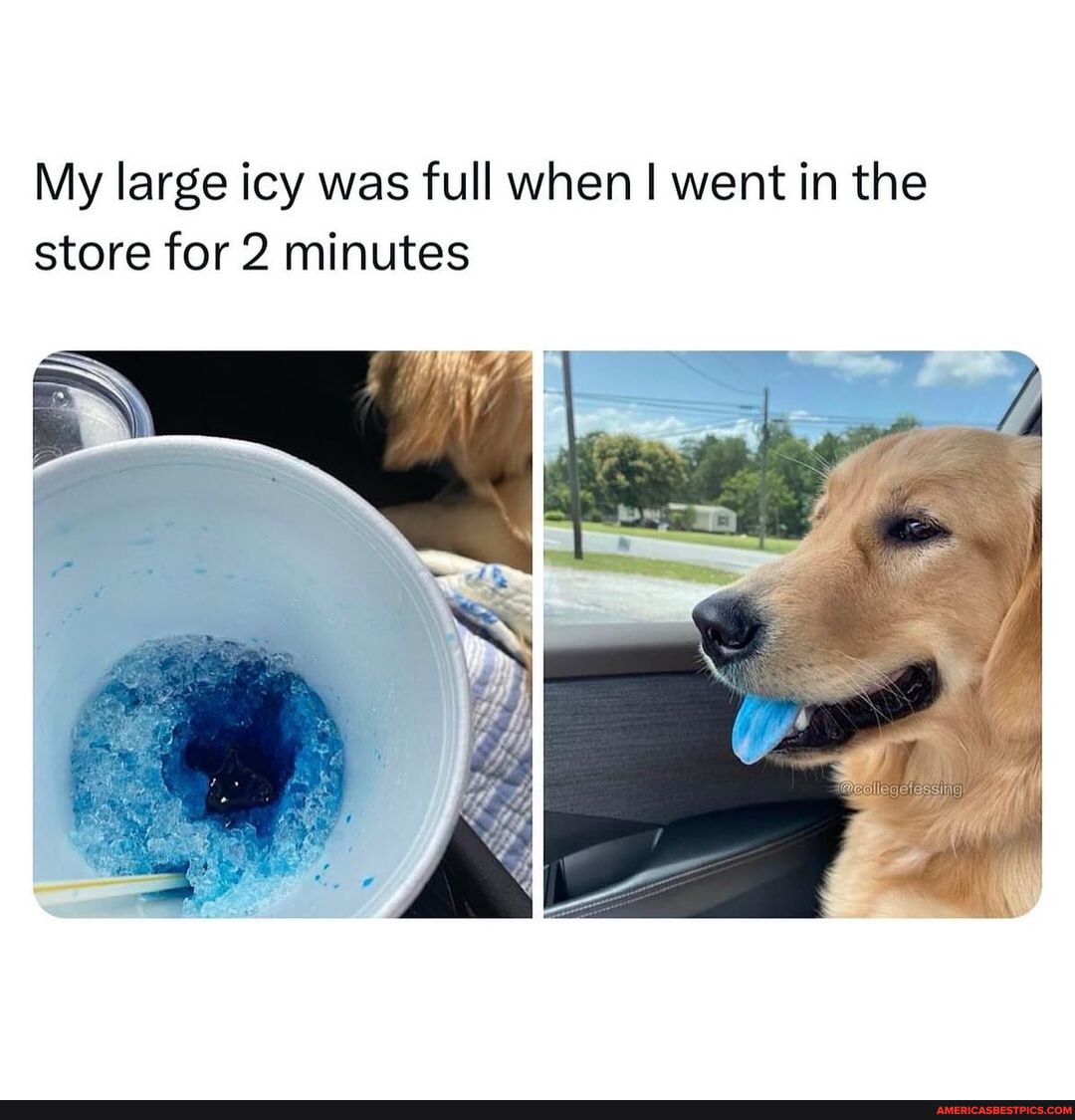 He wanted a taste #cute #explore #memes #viral - My large icy was full ...