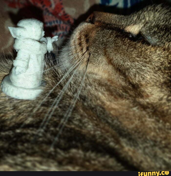 Gorgu memes. Best Collection of funny Gorgu pictures on iFunny