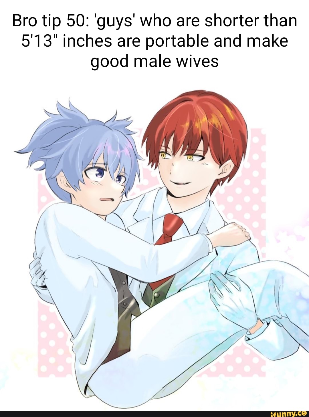 Bro tip 50: 'guys' who are shorter than 5'13" inches are portable and ...