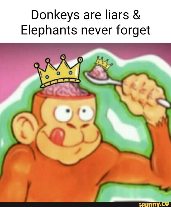 Donkeys are liars Elephants never forget - iFunny