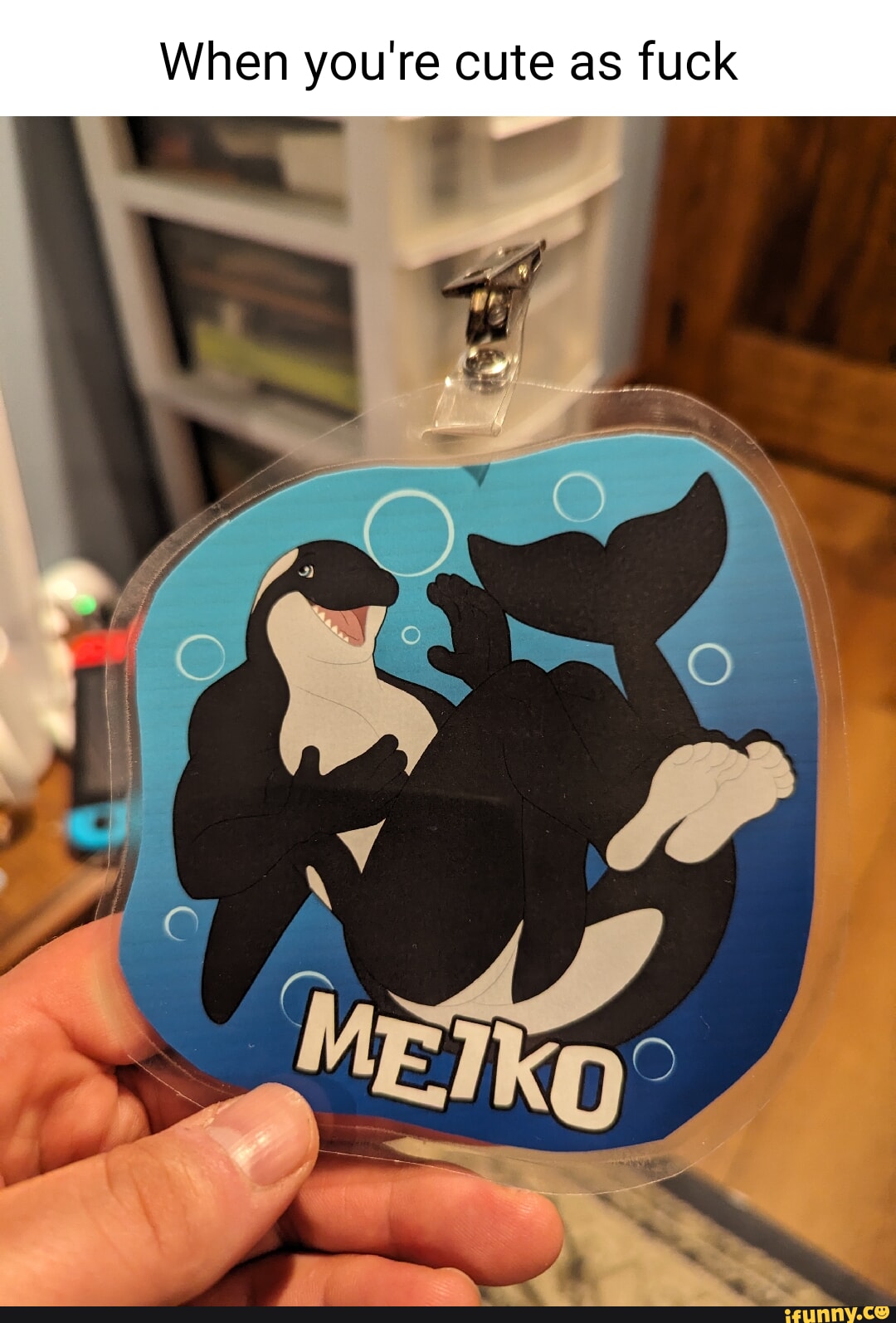 Orca memes. Best Collection of funny Orca pictures on iFunny