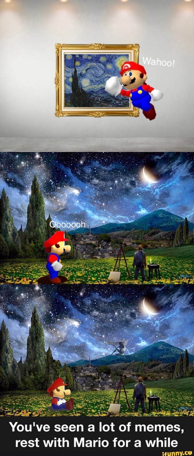 You've seen a lot of memes, rest with Mario for a while - iFunny
