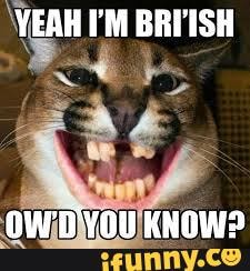 Br - YEAH I'M BRI'ISH ow'D'You KNOW? - iFunny