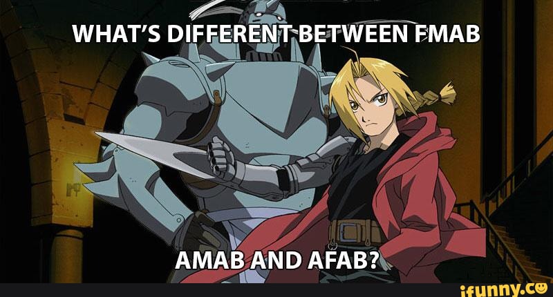 Full Metal Alchemist - WHAT'S DIFFERENT BETWEEN FMAB AMAB AND AFAB ...