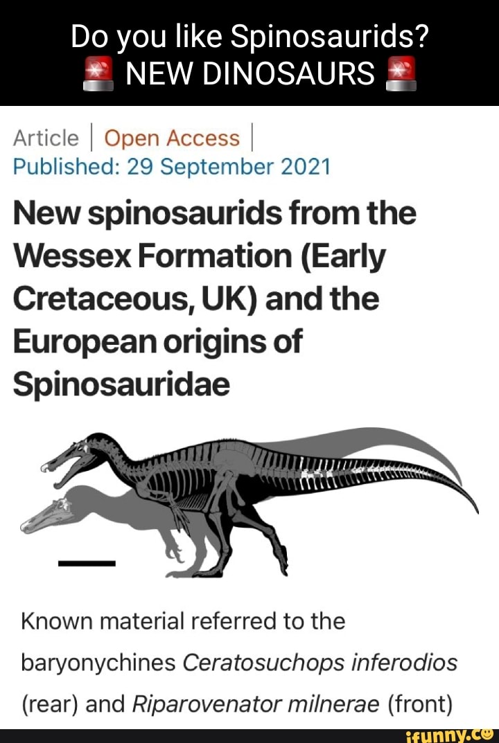 Do you like Spinosaurids? NEW DINOSAURS 2, Article I Open Access I ...