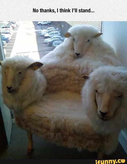 XDD - No thanks, I think I'll stand... - iFunny