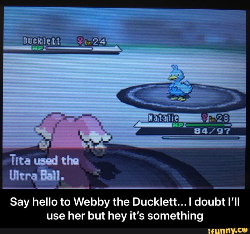 Ducklett memes. Best Collection of funny Ducklett pictures on iFunny