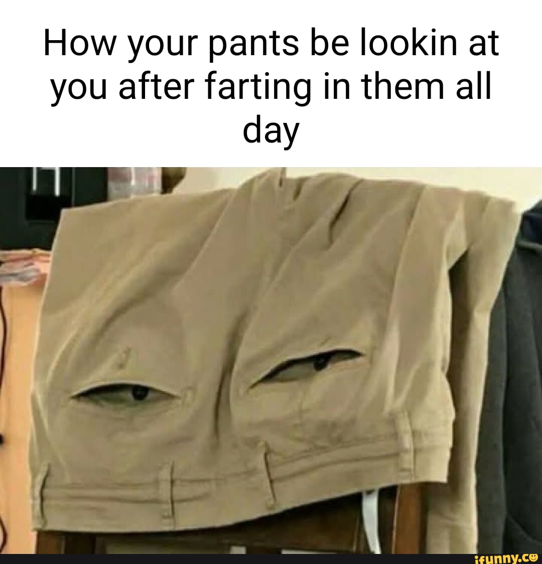 Patricia Lockwood @TriciaLockwood me, lightly touching miette with the ...