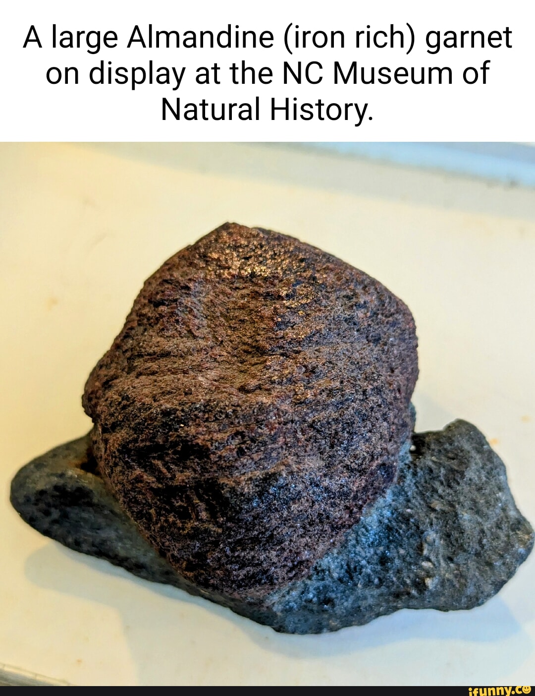 Garnet memes. Best Collection of funny Garnet pictures on iFunny