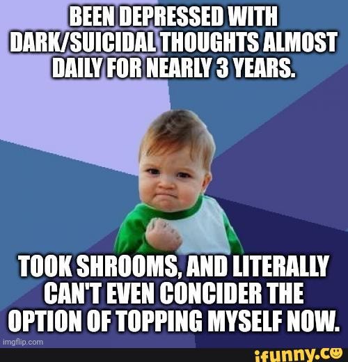 Magic_mushrooms memes. Best Collection of funny Magic_mushrooms ...