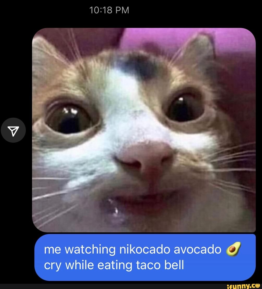 PM cry while eating taco bell me watching nikocado avocado - iFunny