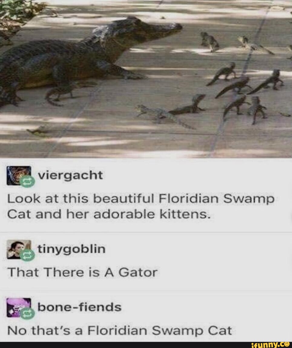 Vladimir Bootin - iFunny