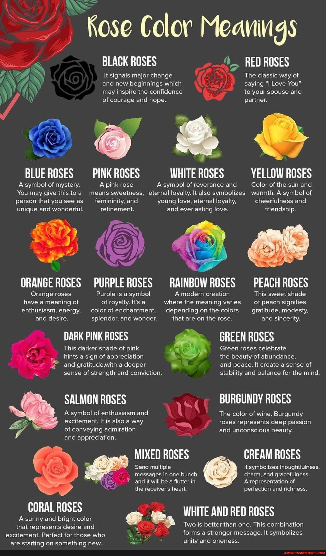 Kose Color Meanings AN BLACK ROSES RED ROSES It signals major change ...