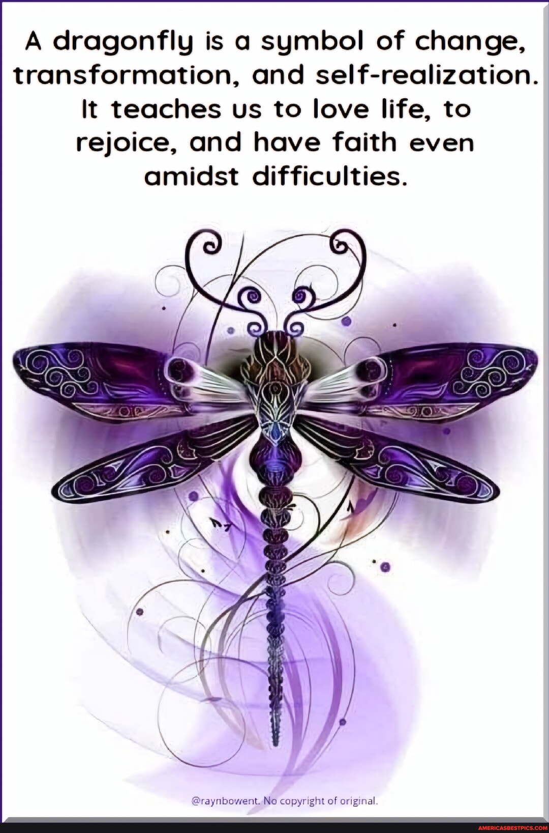 A dragonfly is a symbol of change, transformation, and self-realization ...