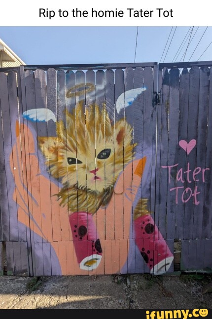 RIP little one - Rip to the homie Tater Tot IN - iFunny