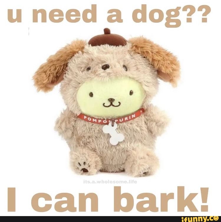 Pompompurin memes. Best Collection of funny Pompompurin pictures on iFunny