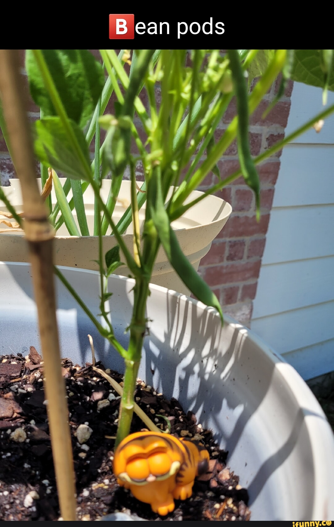 Pods memes. Best Collection of funny Pods pictures on iFunny