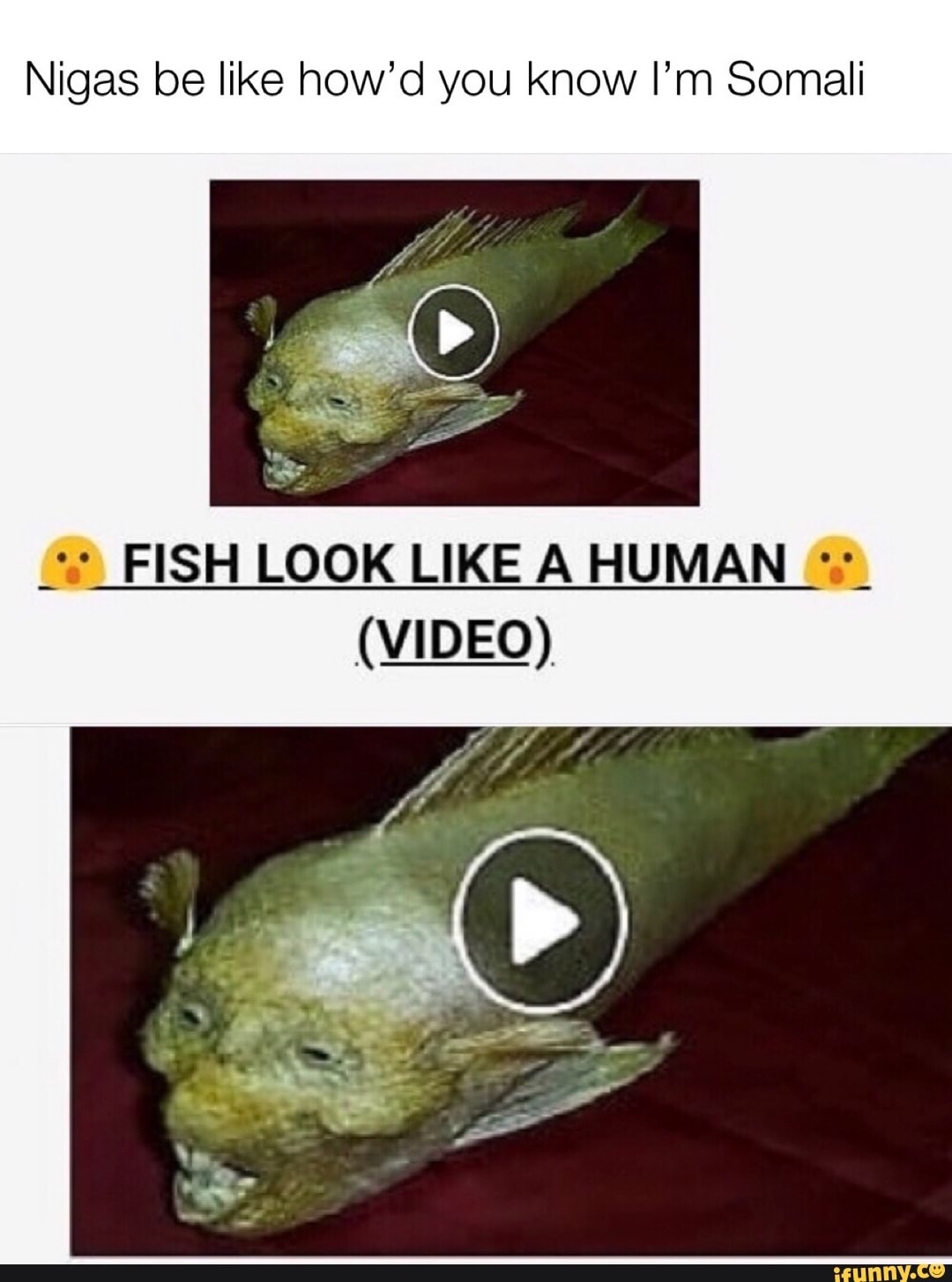 Somalipirates memes. Best Collection of funny Somalipirates pictures on ...