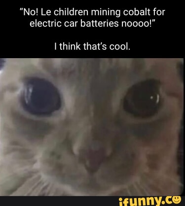 "No! Le children mining cobalt for electric car batteries noooo!" I ...