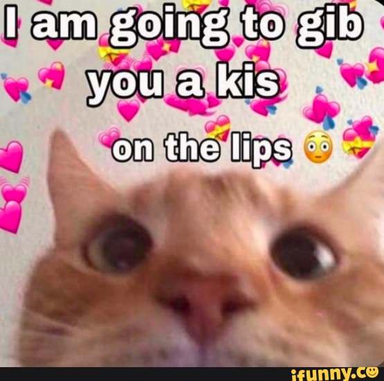 Gib memes. Best Collection of funny Gib pictures on iFunny