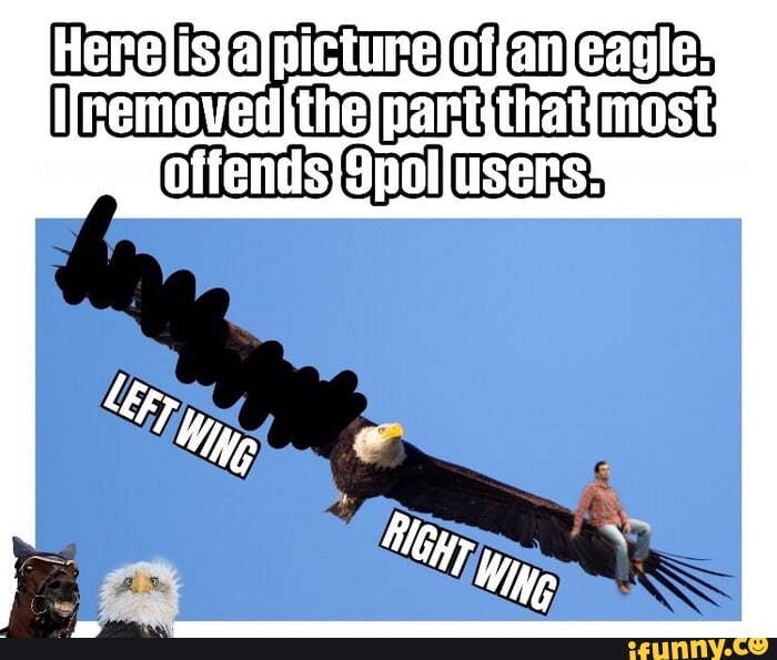 Reeeeeeeeeeeeeeee memes. Best Collection of funny Reeeeeeeeeeeeeeee ...