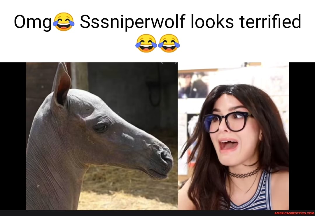 Omg Sssniperwolf looks terrified - America’s best pics and videos