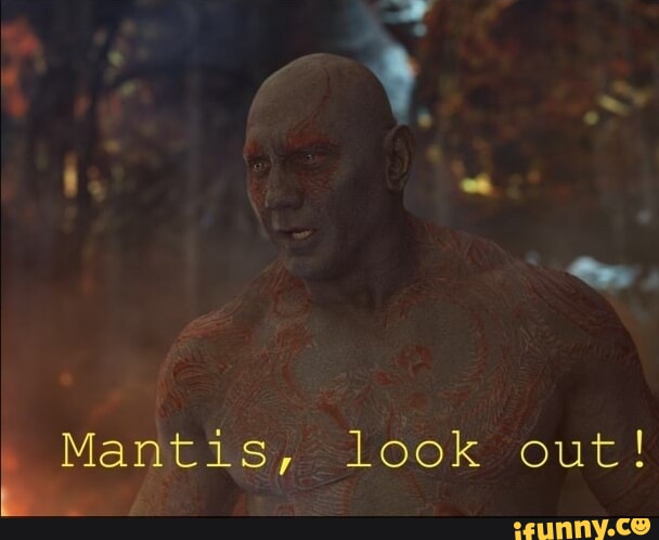 Mantis, look out! - iFunny