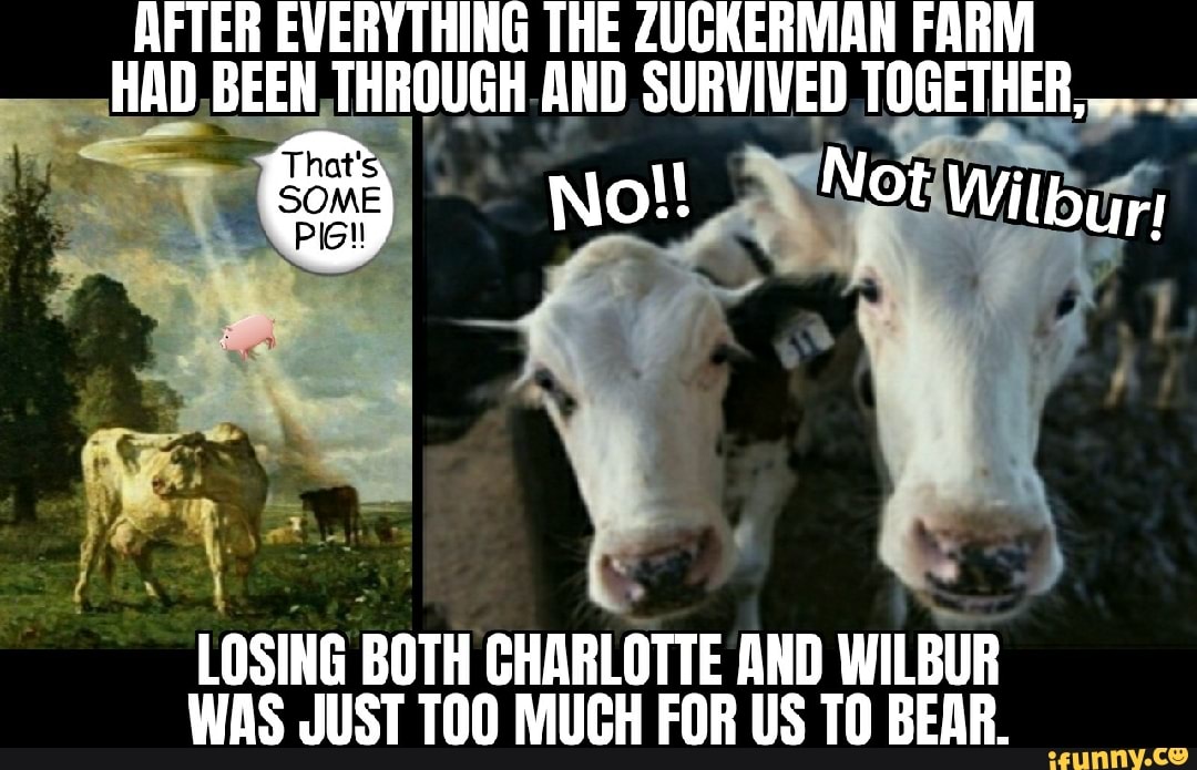 AFTER EVERYTHING THE ZUCKERMAN FARM HAD BEEN THROUGH AND SURVIVED ...