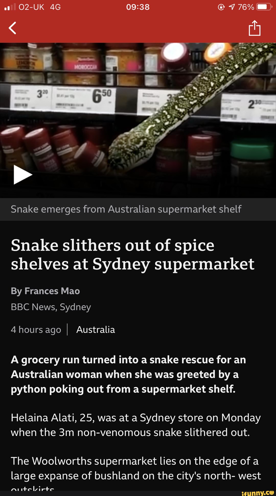 O2-UK Snake emerges from Australian supermarket shelf Snake slithers ...
