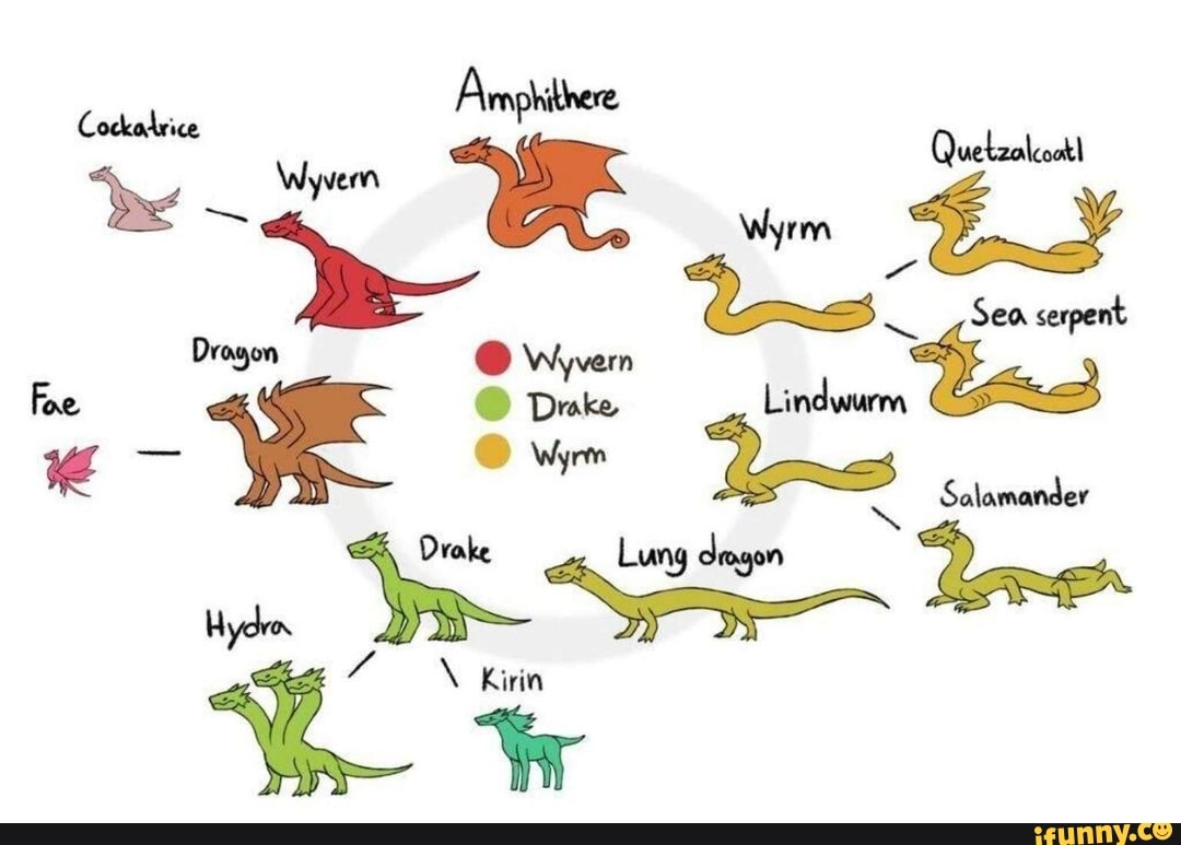 Cockadrice Arpitvere Sea serpent Drayon Wyvern Fae Drake 4 ...