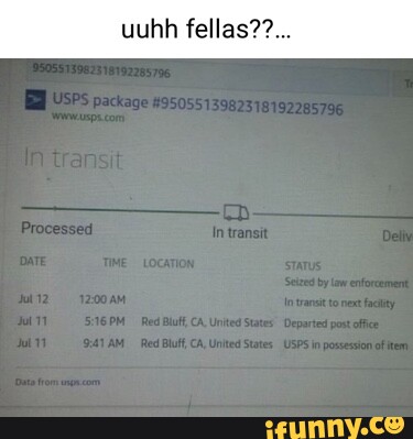 Uuhh fellas? - iFunny