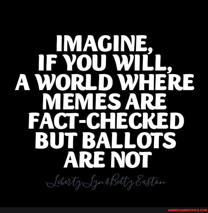 IMAGINE, IF YOU WILL, A WORLD WHERE MEMES ARE FACT-CHECKED BUT BALLOTS ...
