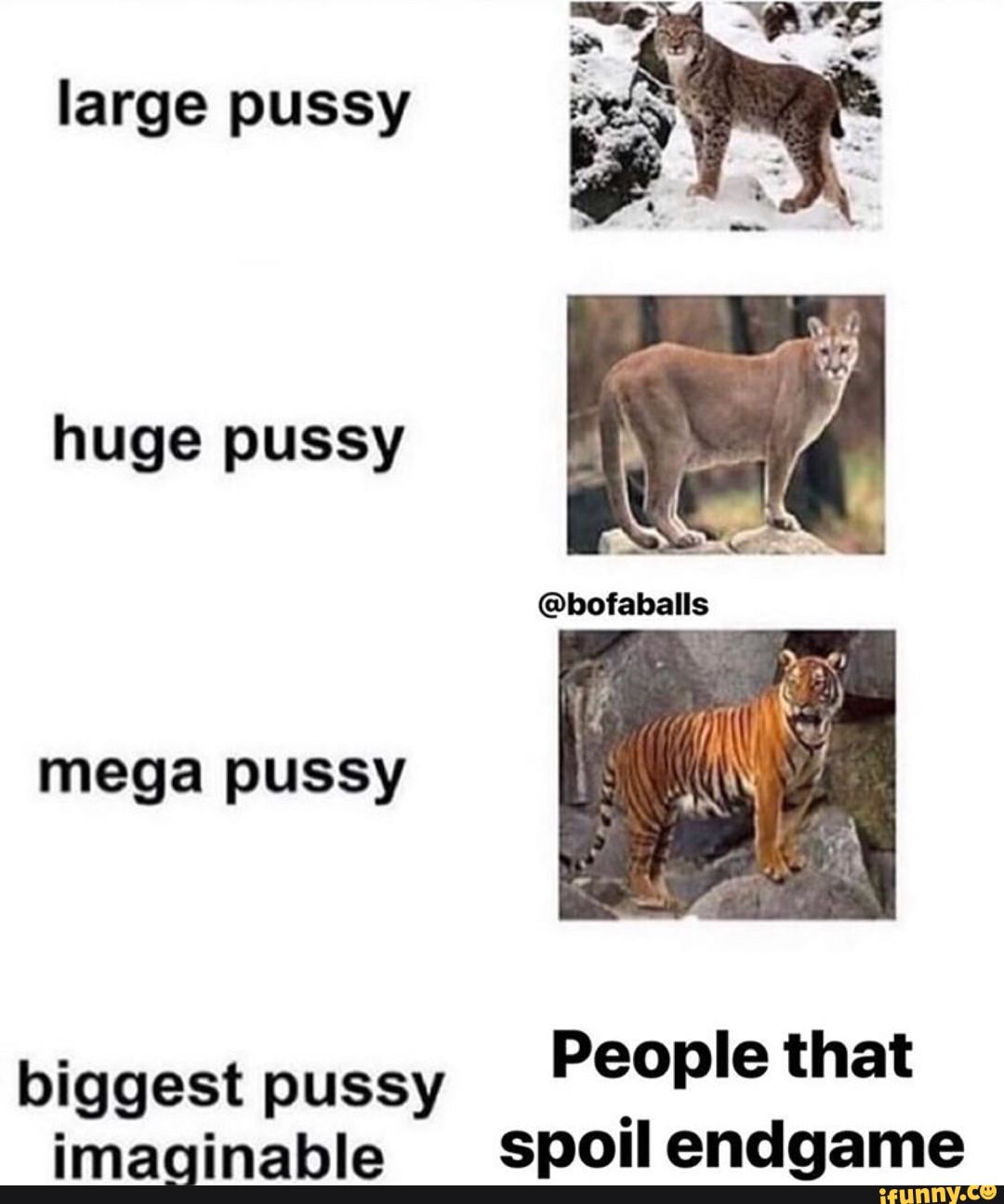 Large Pussy Huge Pussy Mega Pussy Biggest Pussy Peoople That Imaginable