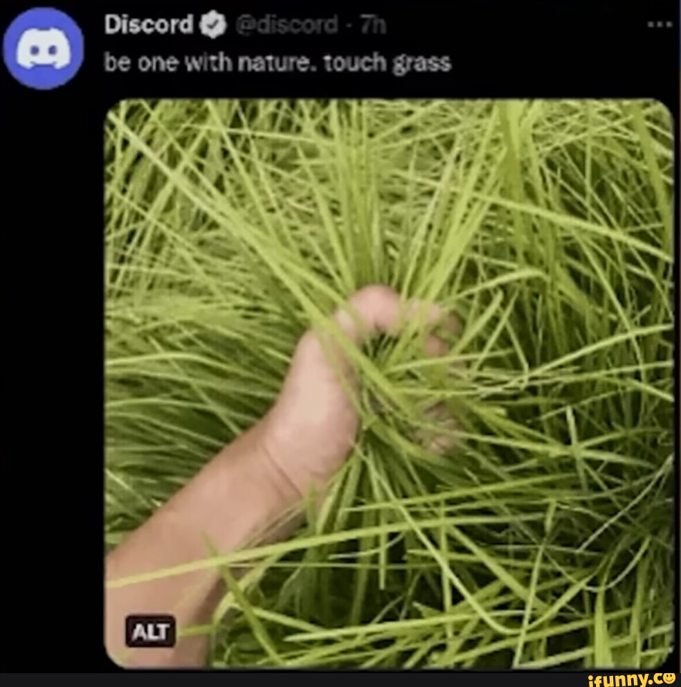 Ac Discord @ 7 be one with nature. touch grass - iFunny