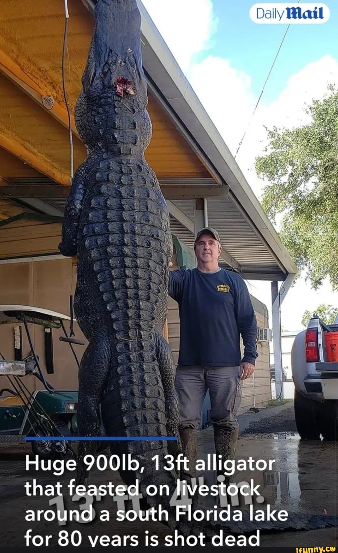 "Sweetie, if you're going to act like a baby, I'm going to treat you ...