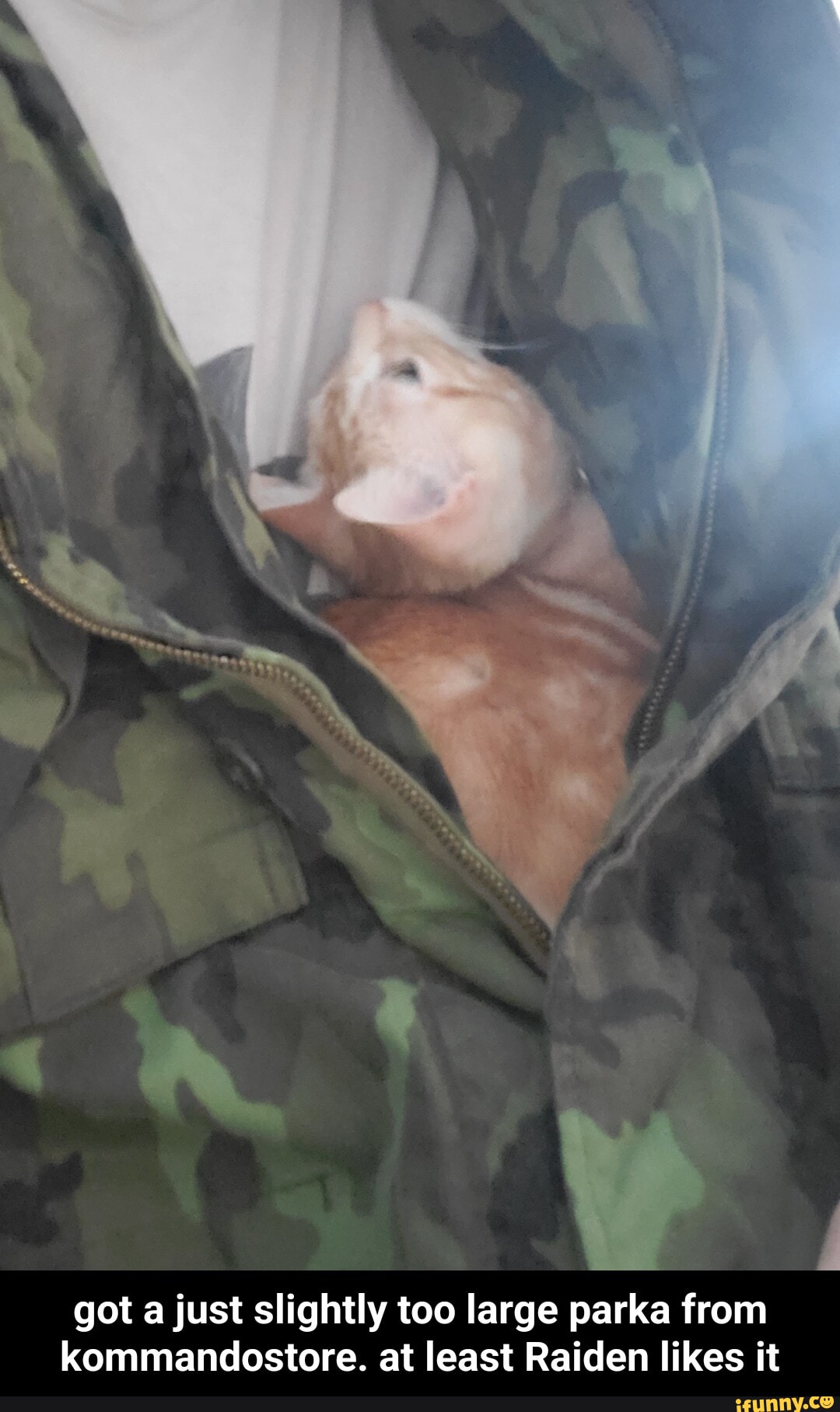 Parka memes. Best Collection of funny Parka pictures on iFunny