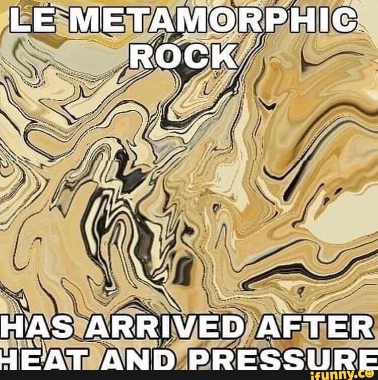 Metamorphig memes. Best Collection of funny Metamorphig pictures on iFunny