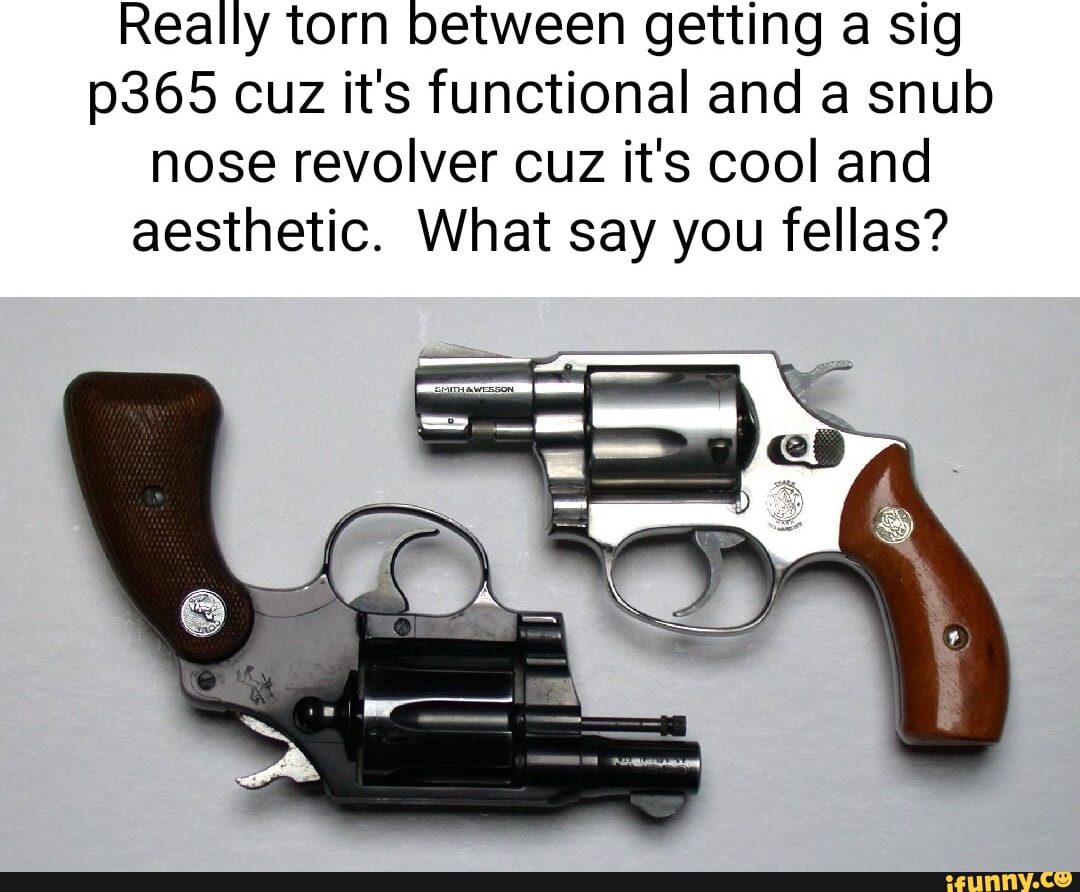 Really torn between getting a sig p365 cuz it's functional and a snub ...