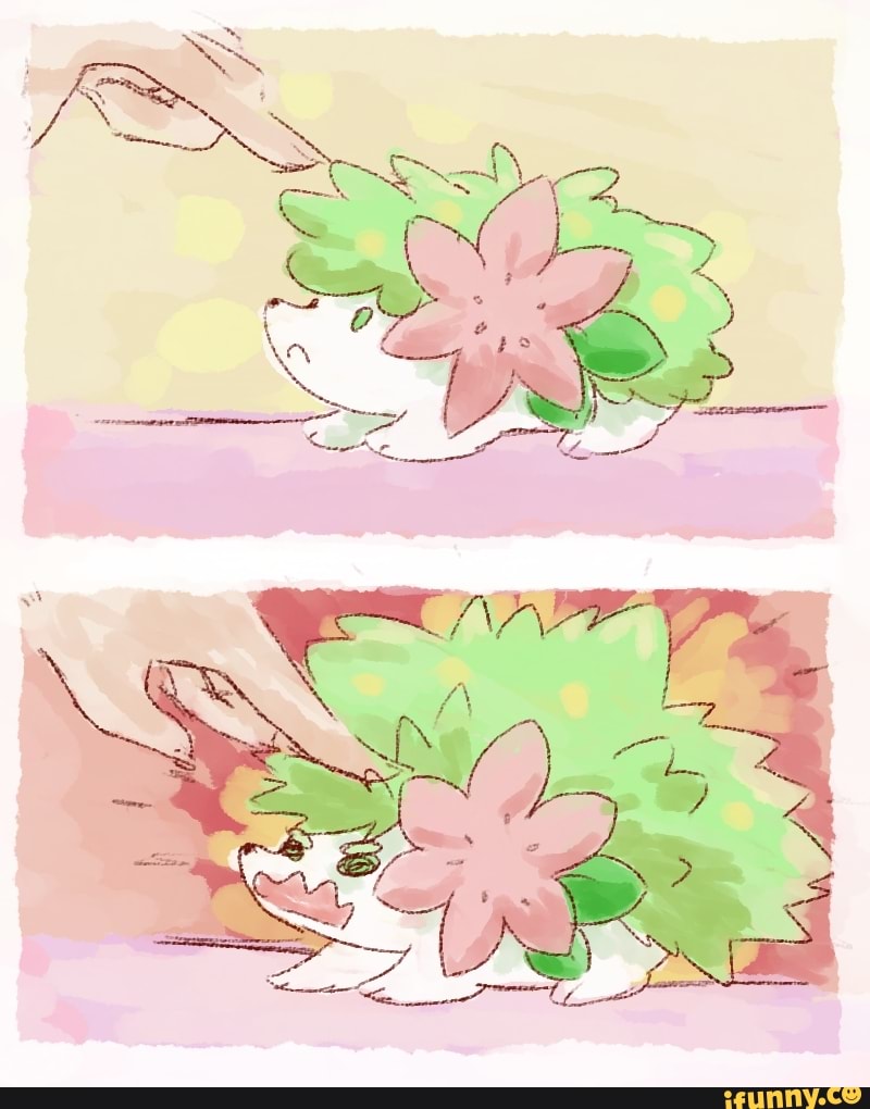 Shaymin memes. Best Collection of funny Shaymin pictures on iFunny
