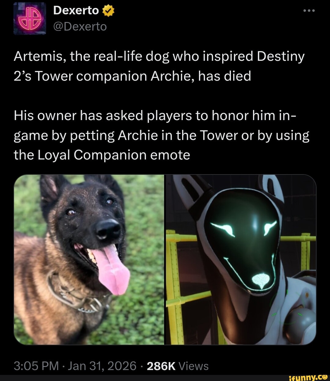 Dexerto Artemis, the real-life dog who inspired Destiny Tower companion ...