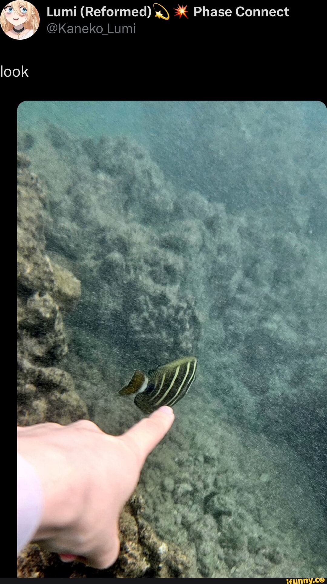 Lumi (Reformed) Phase Connect @Kaneko_Lumi look - iFunny