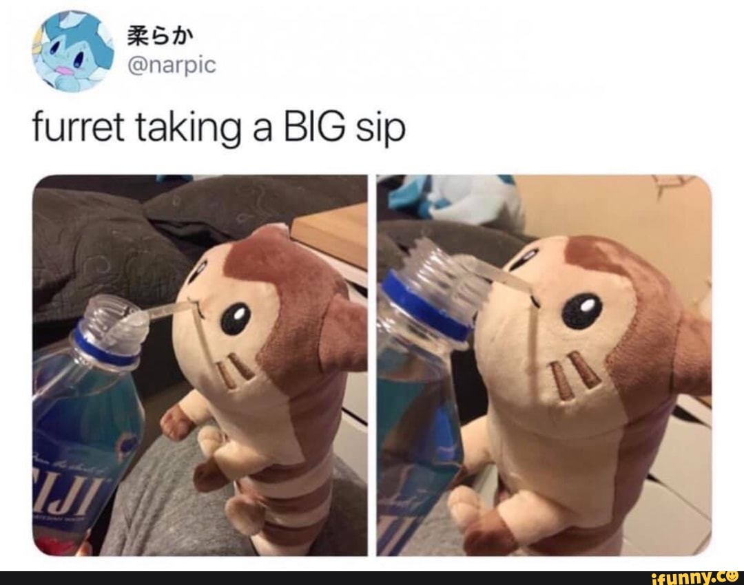 Furret taking a BIG sip - iFunny
