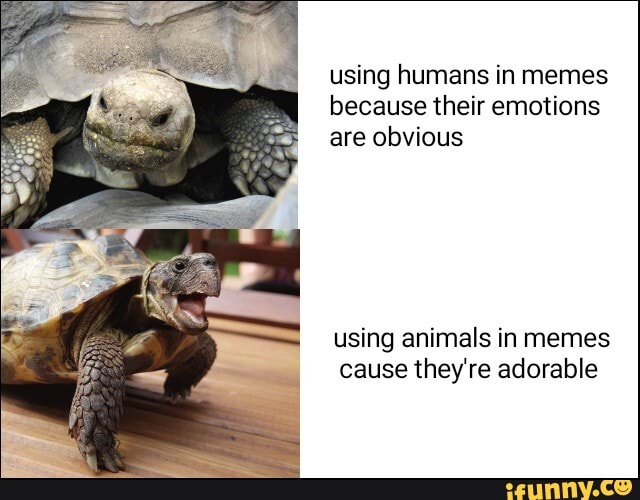 Using humans in memes because their emotions are obvious using animals ...
