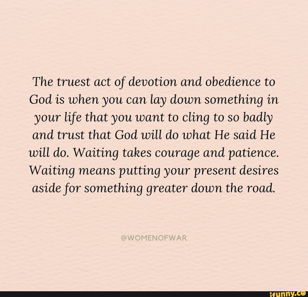 Obedience memes. Best Collection of funny Obedience pictures on iFunny