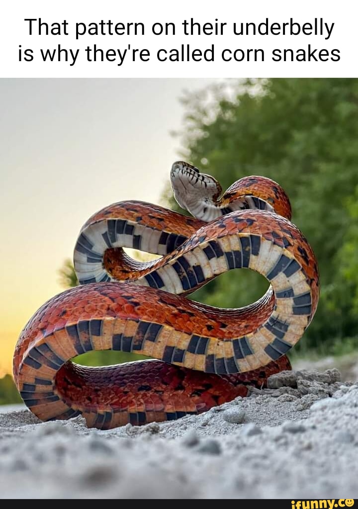 POV: those 2 hours of sleep starts to catch up with you halfway through ...